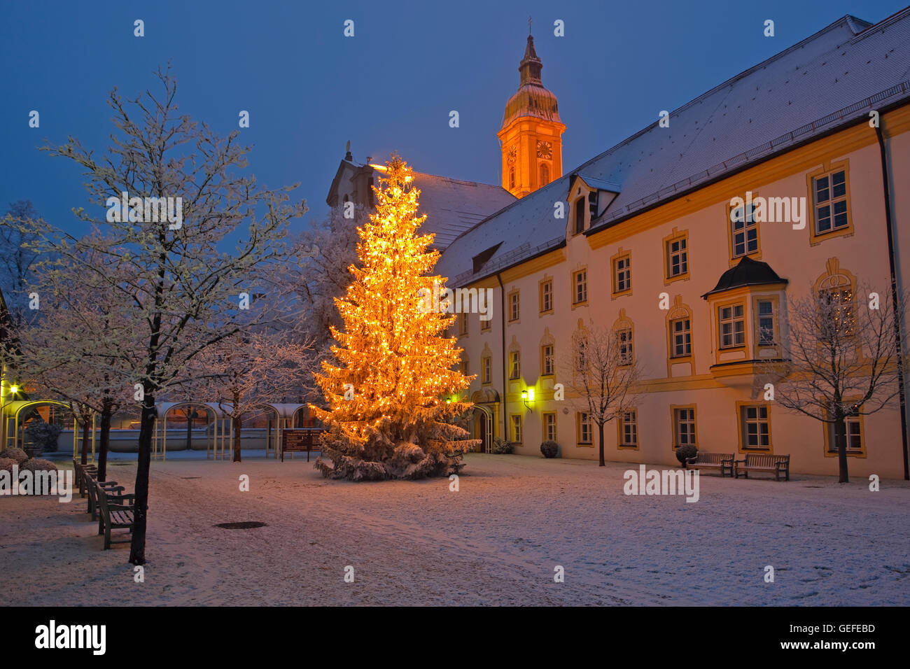 geography / travel, Germany, Bavaria, Freising, Christmas tree outside ...