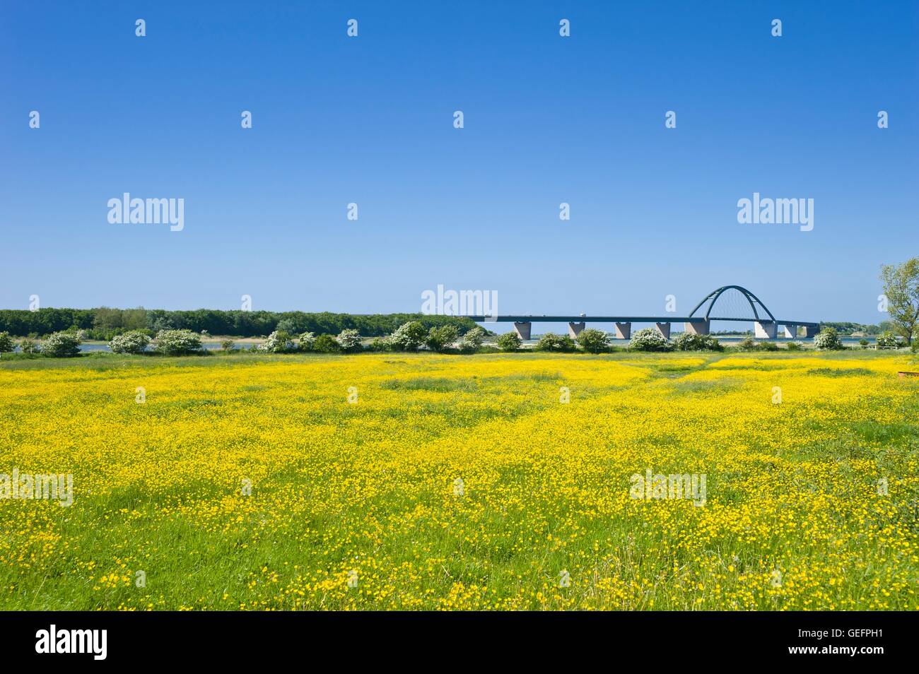 Fehmarn Sound Bridge, Fehmarn Stock Photo - Alamy