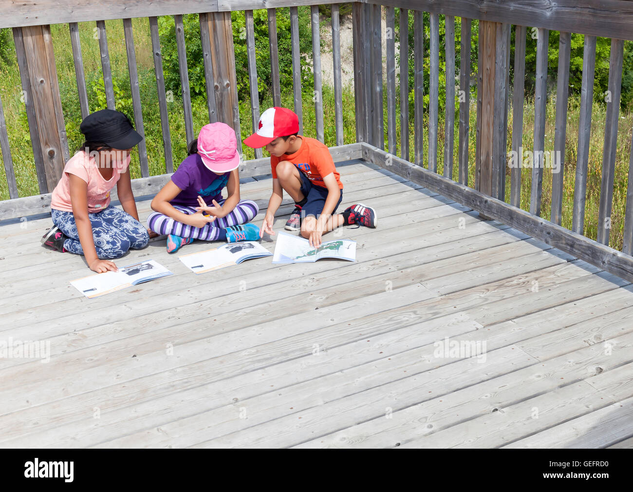 Children playing,hiking and having fun in a outdoor nature park on ...