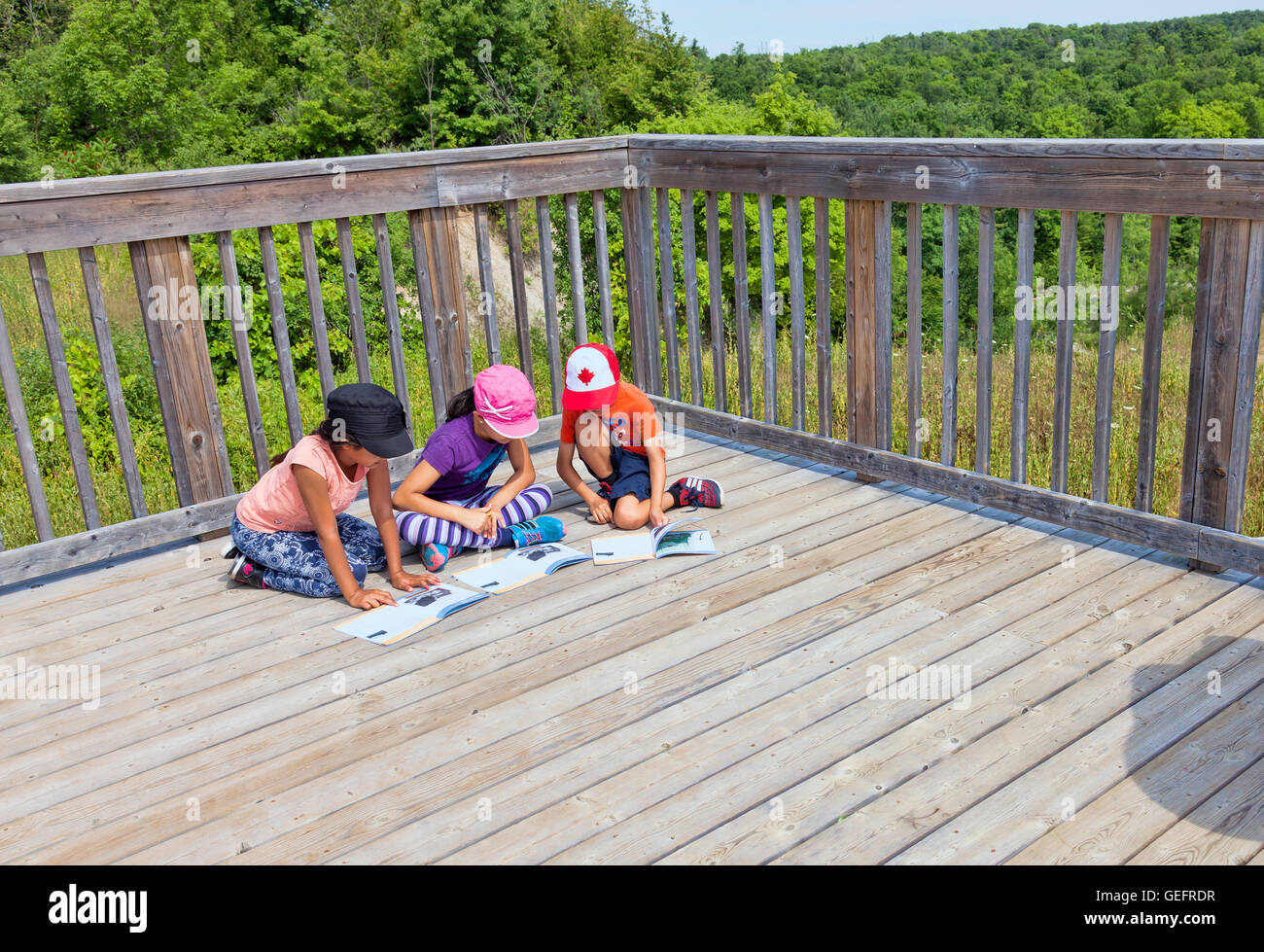 Children playing,hiking and having fun in a outdoor nature park on ...