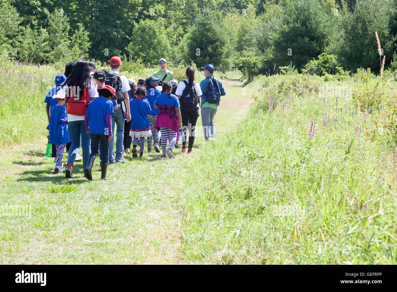 Children playing,hiking and having fun in a outdoor nature park on ...
