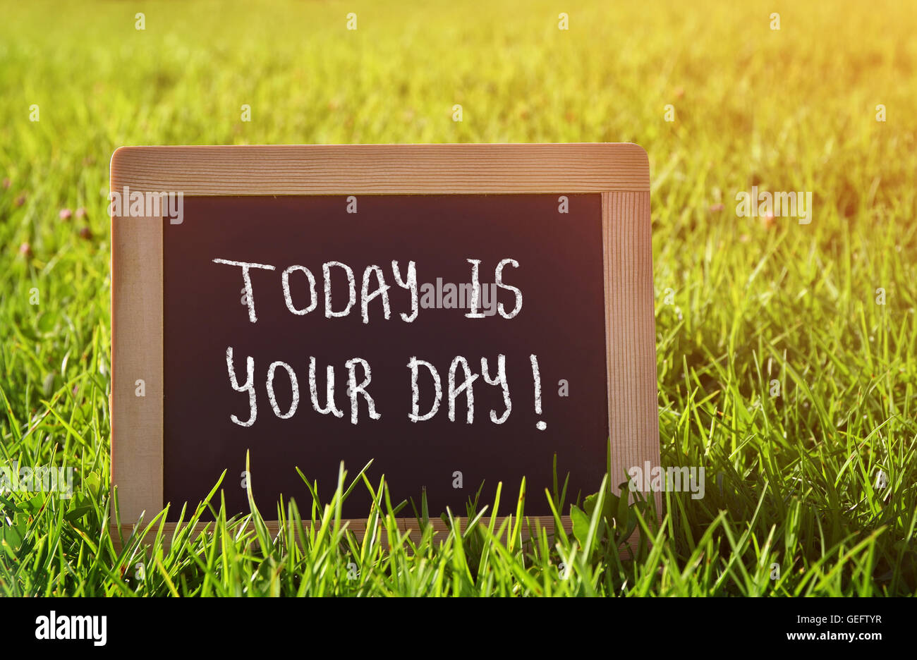 chalkboard lying in the grass with the text today is your day Stock ...
