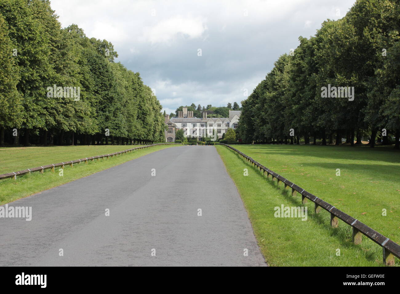 Long driveway at Coombe Abbey Stock Photo - Alamy