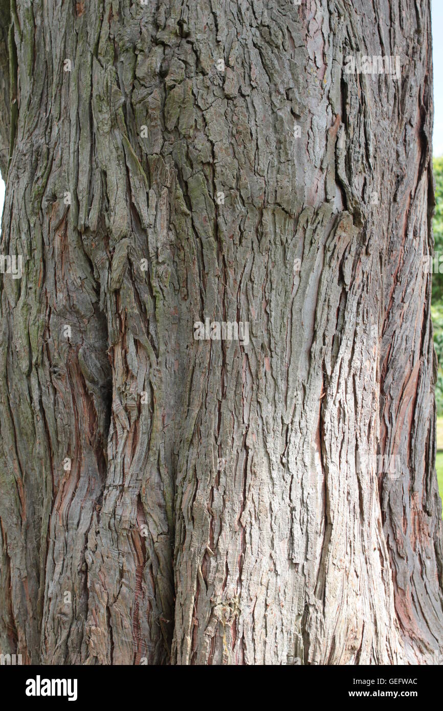 Live oak map hi-res stock photography and images - Alamy