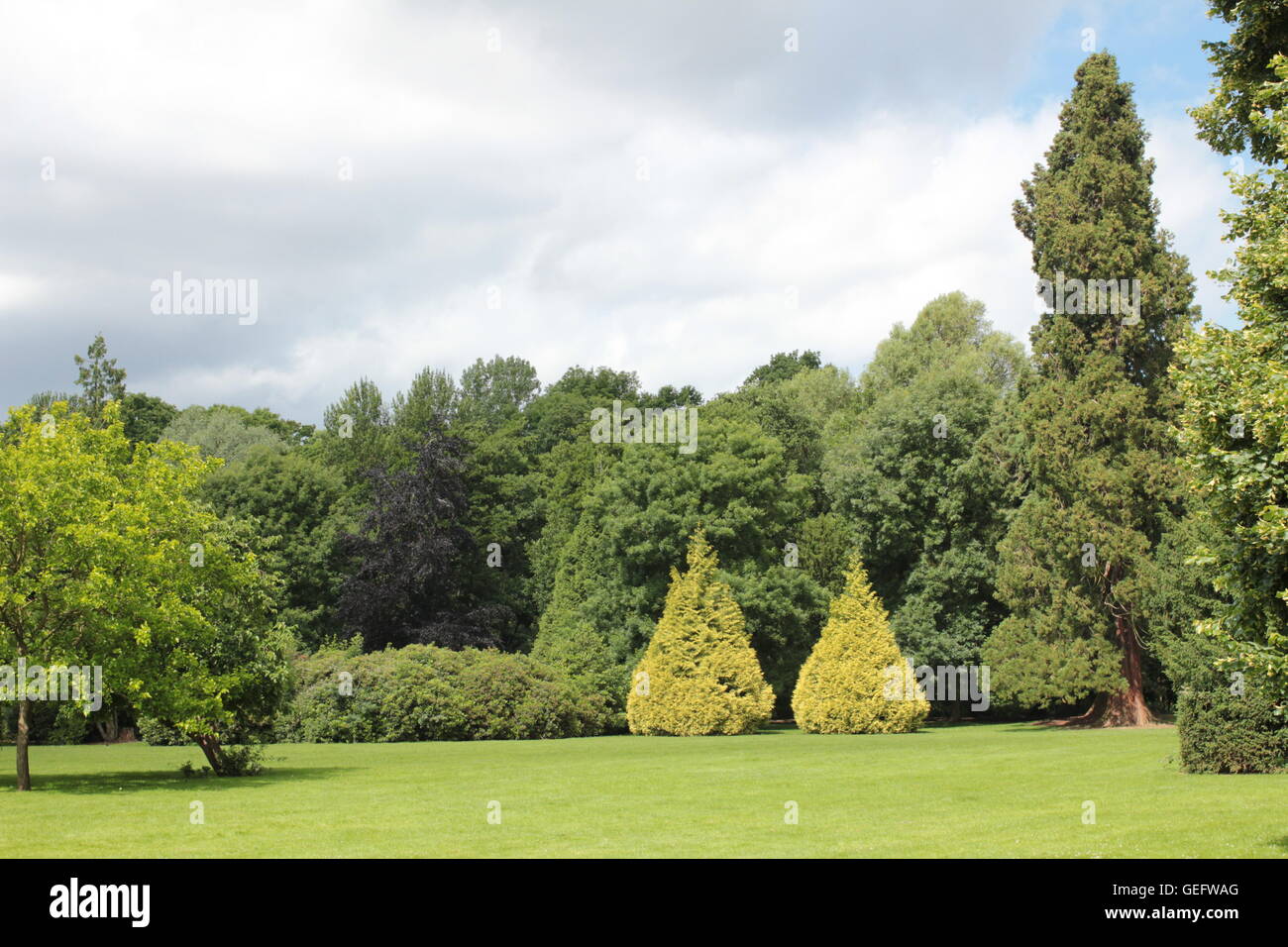 Formal garden woodlands Coombe abbey Stock Photo - Alamy