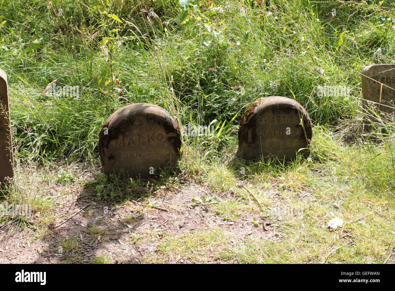 Pet cemetery with gravestones Stock Photo - Alamy