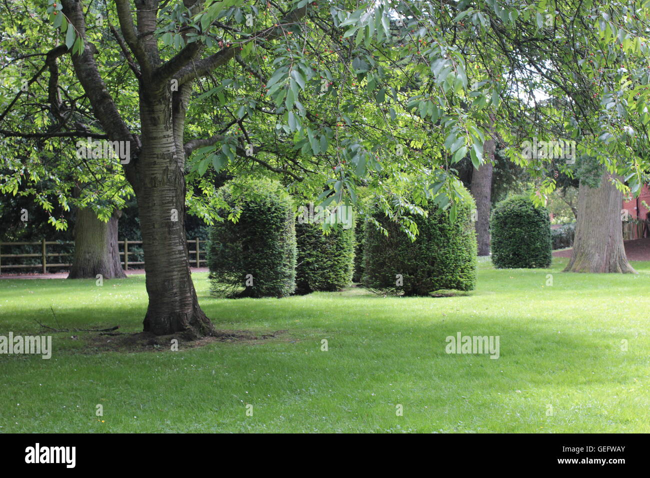 Formal gardens at Coombe Abbey Stock Photo - Alamy