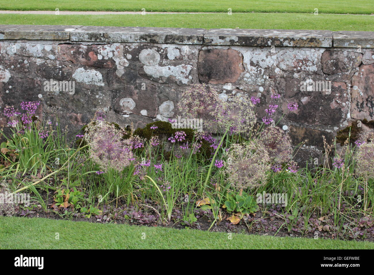 Old English decorative flower border Stock Photo - Alamy