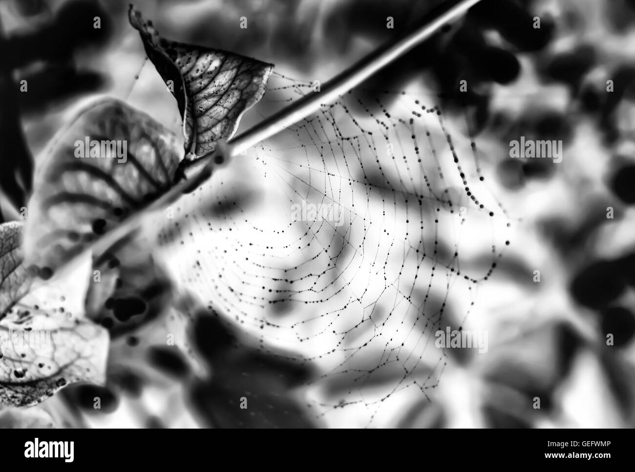 Negative concepts hi-res stock photography and images - Alamy