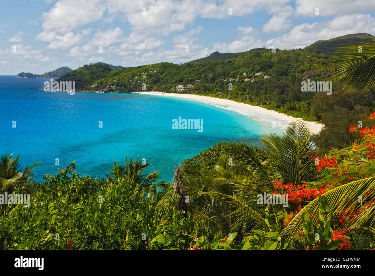 Banyan tree seychelles hi-res stock photography and images - Alamy