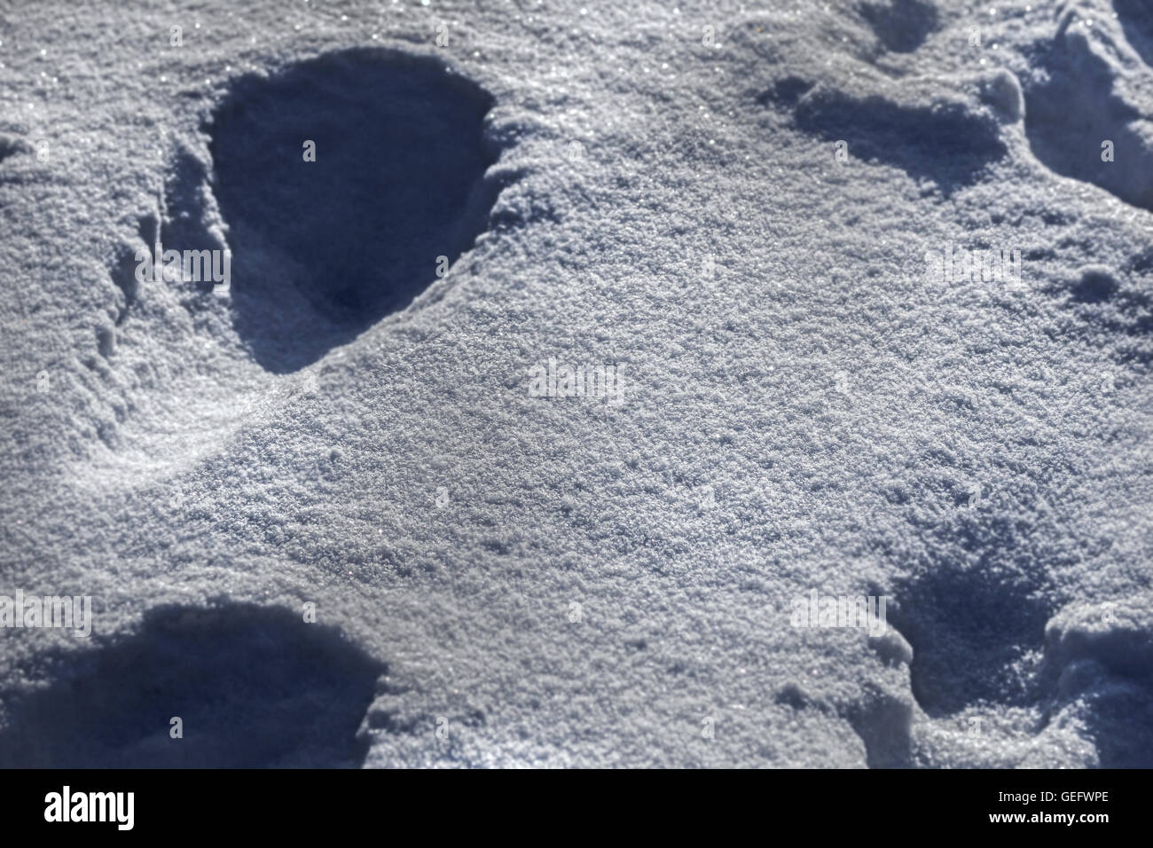 Contrasting landscapes hi-res stock photography and images - Alamy