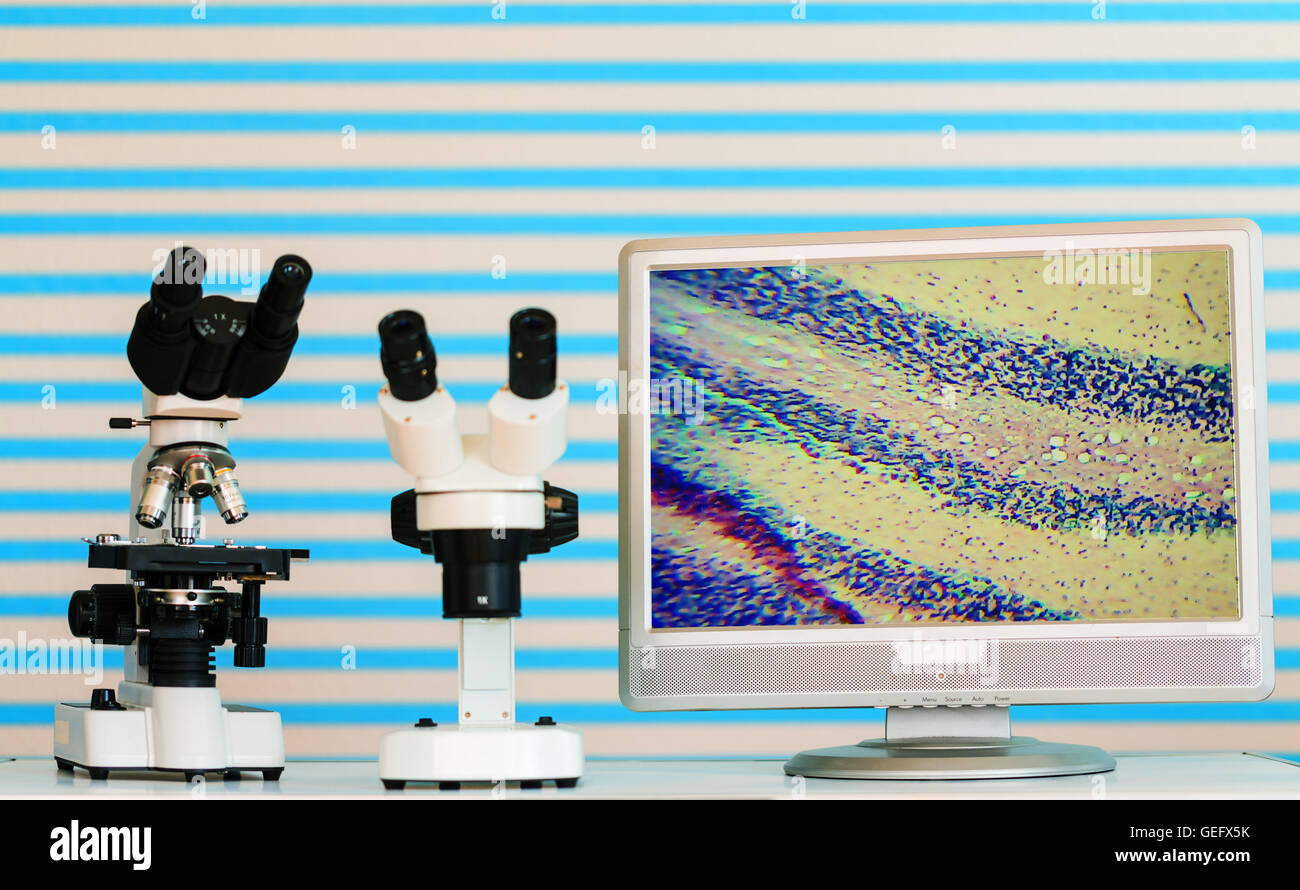 Laboratory bench hi-res stock photography and images - Alamy