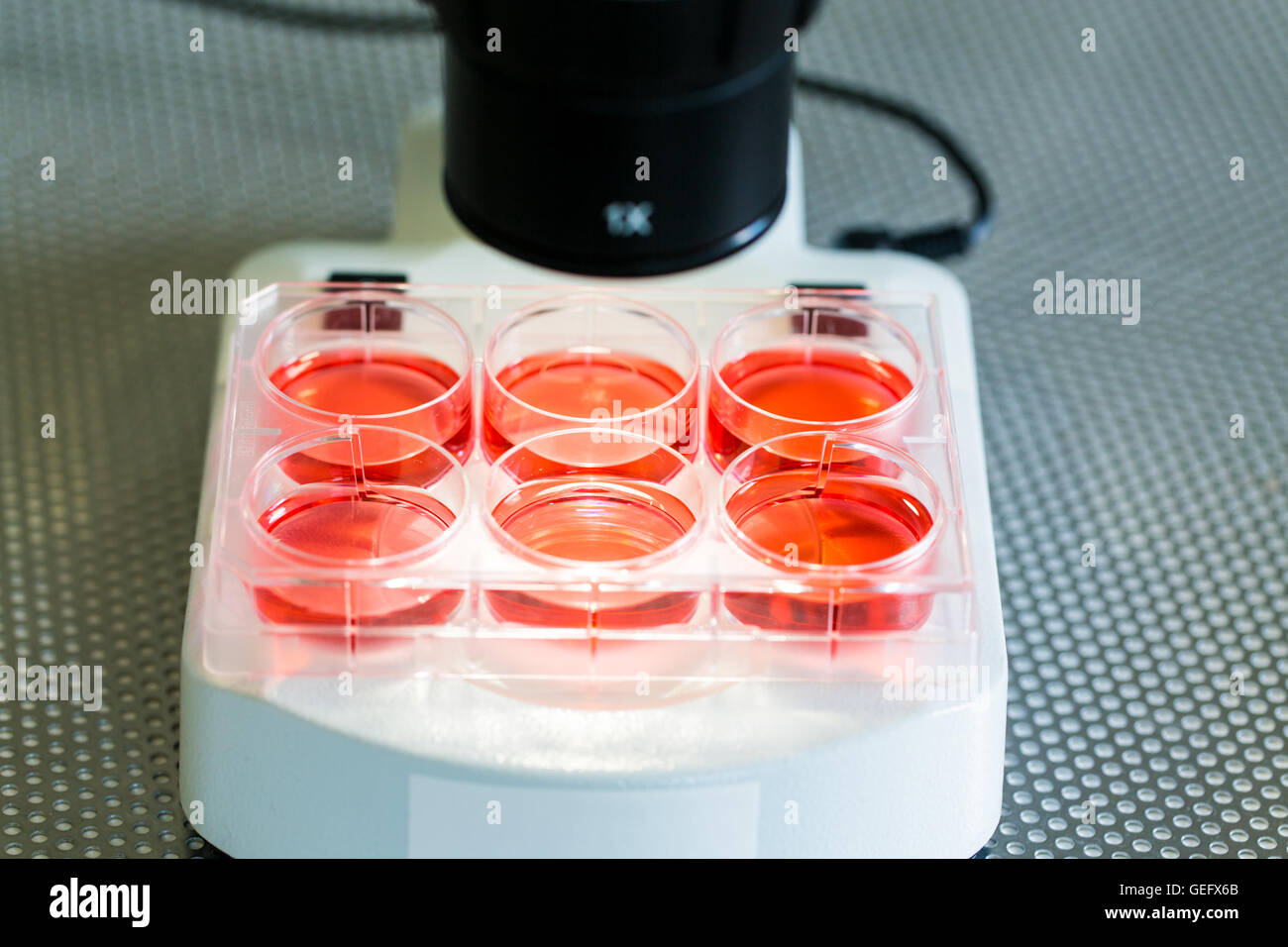 blood test in medical laboratory bench with microscope Stock Photo - Alamy