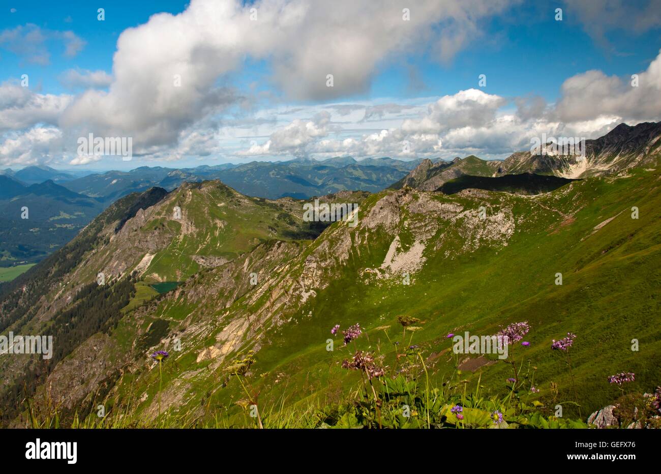 Allgaeu Alps, Bavaria Stock Photo - Alamy