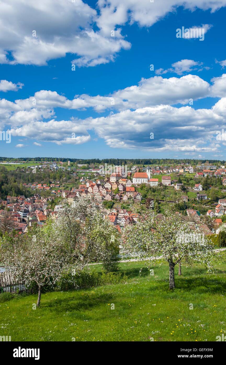 Altensteig, Black Forest Stock Photo - Alamy