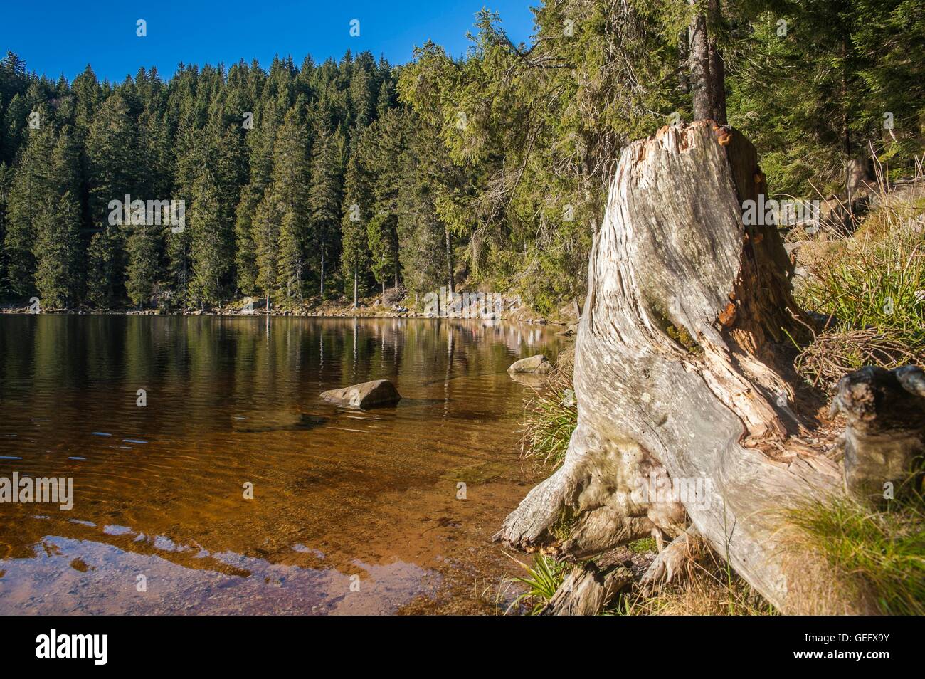 Mummelsee, Seebach, Black Forest Stock Photo - Alamy
