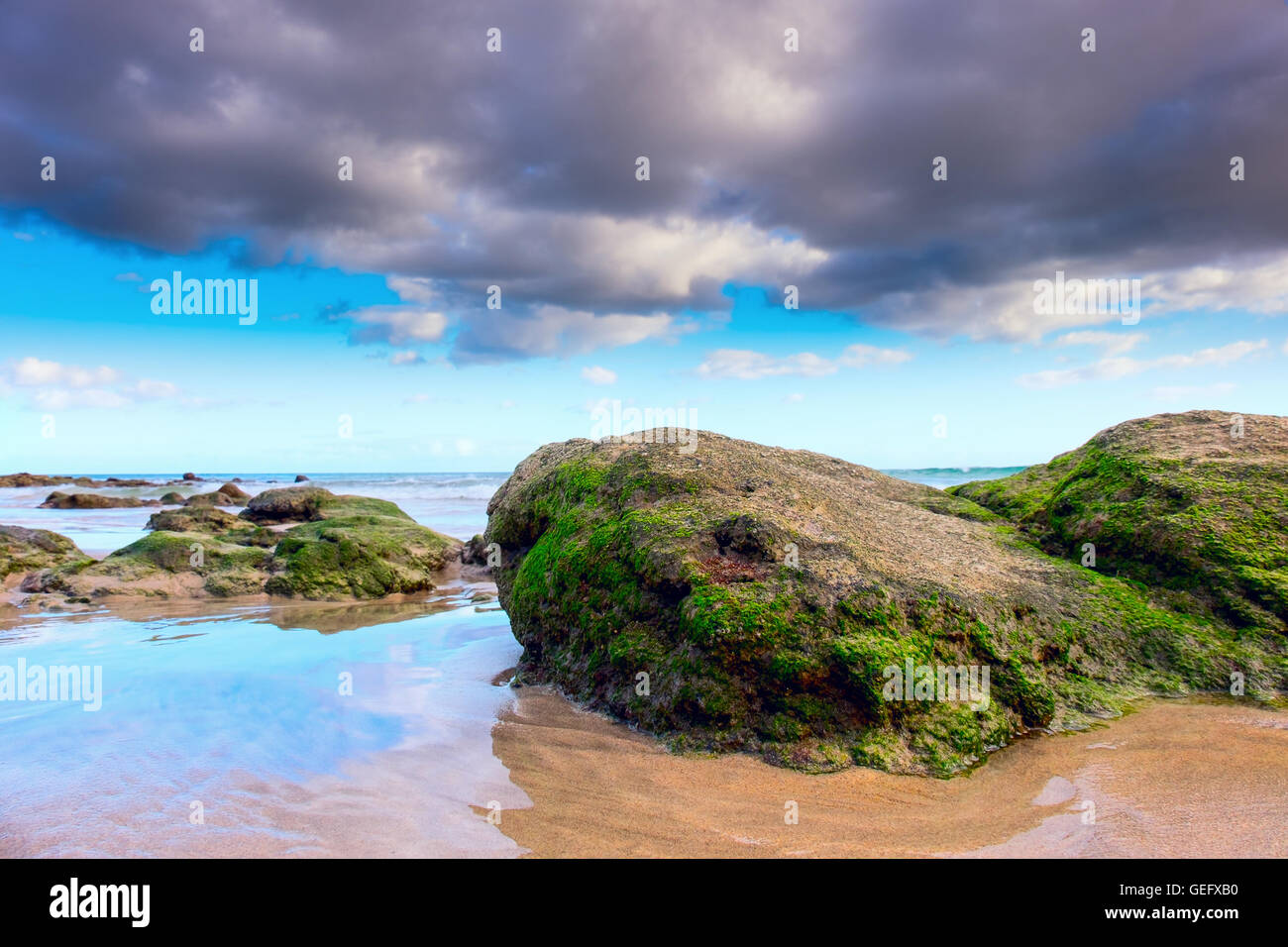 Algae on rocks hi-res stock photography and images - Alamy