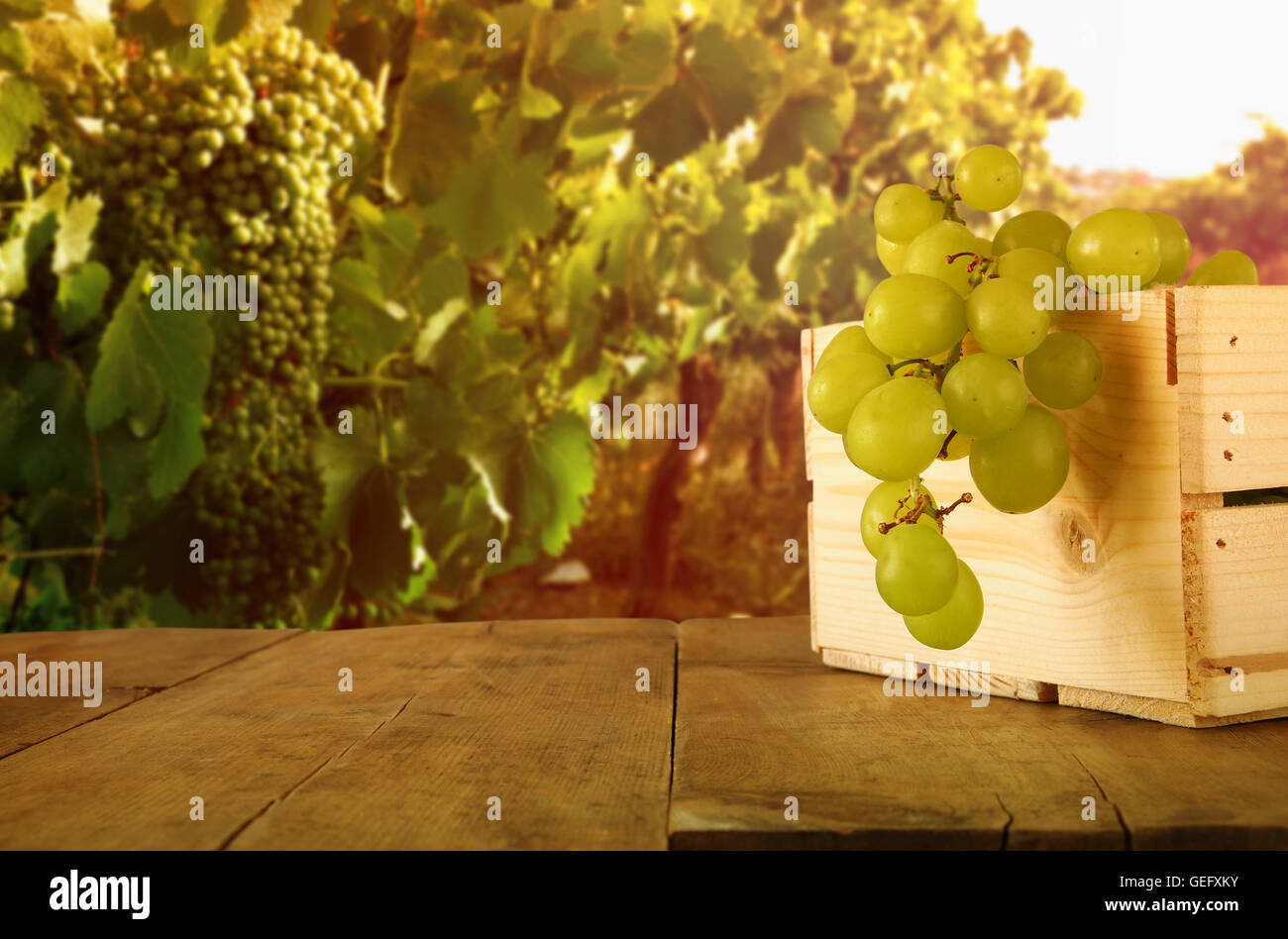 Image of summer grapes on wooden table in front of vine yard landscape ...