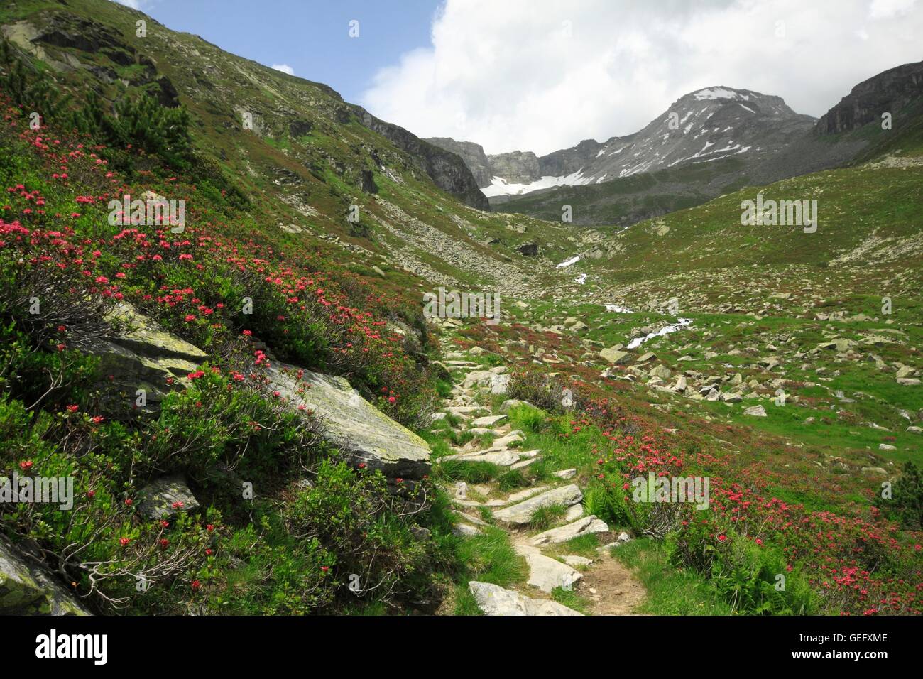 Hoher Riffler, Zillertal Alps Stock Photo - Alamy