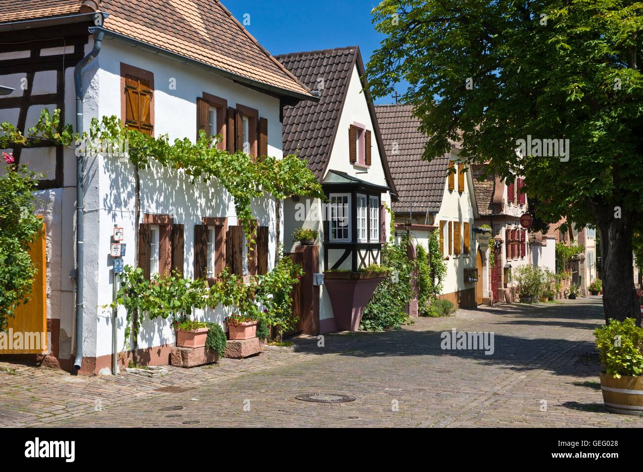 Theresienstrasse, Rhodt unter Rietburg Stock Photo - Alamy