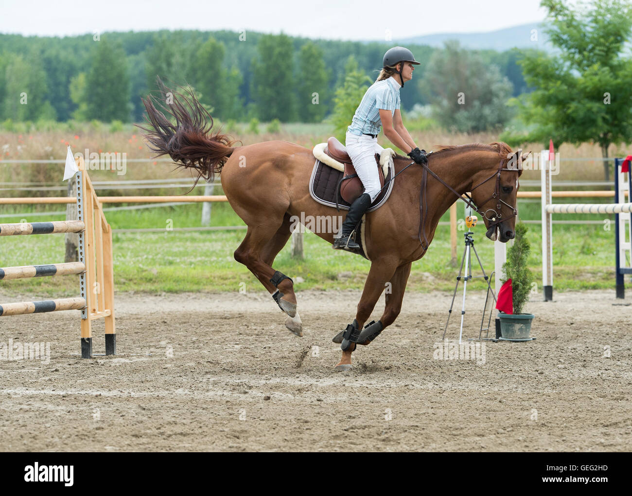 Equestrian Sports, Horse jumping, Show Jumping, Horse Riding Stock ...