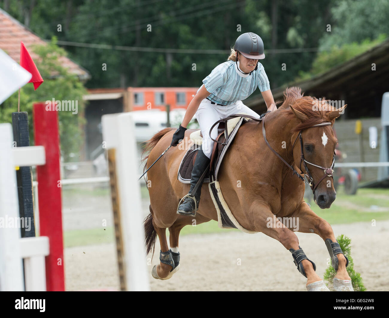 Equestrian Sports, Horse jumping, Show Jumping, Horse Riding Stock ...