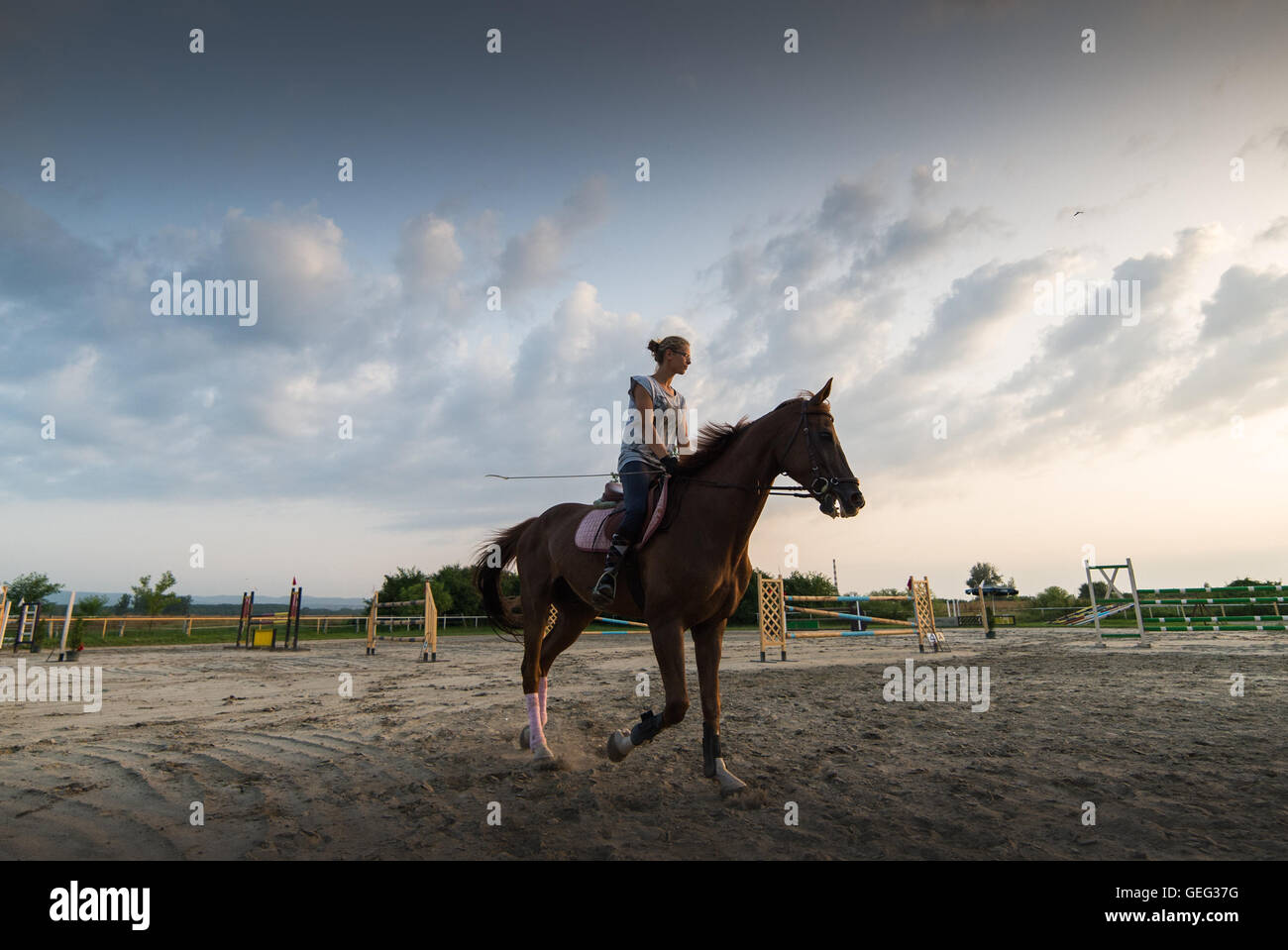 Young pretty girl riding a horse Stock Photo - Alamy