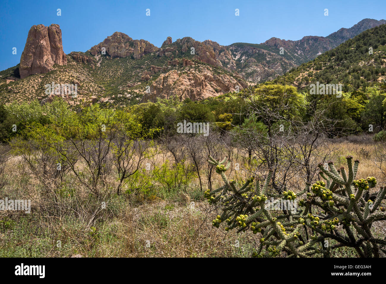 Rhyolite cliffs around Sunny Flat Campground in Cave Creek Canyon ...