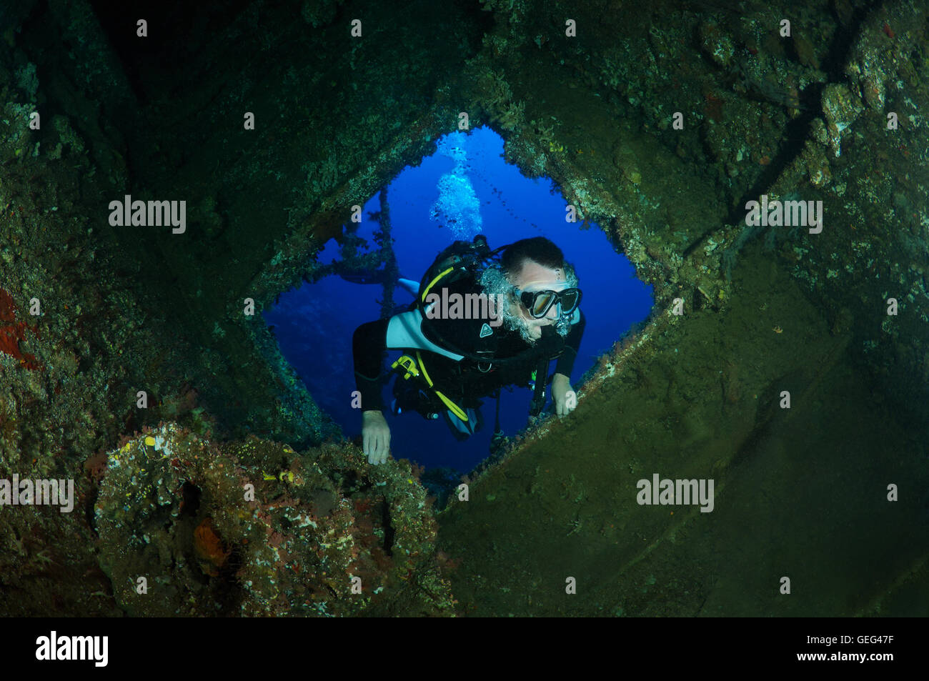 Male scuba diver inside the wreck of the Numidia, Big Brother reef ...