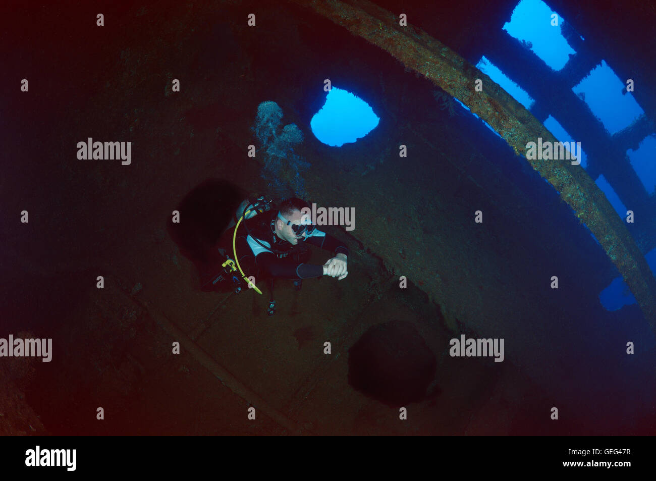 Male scuba diver inside the wreck of the Numidia, Big Brother reef ...