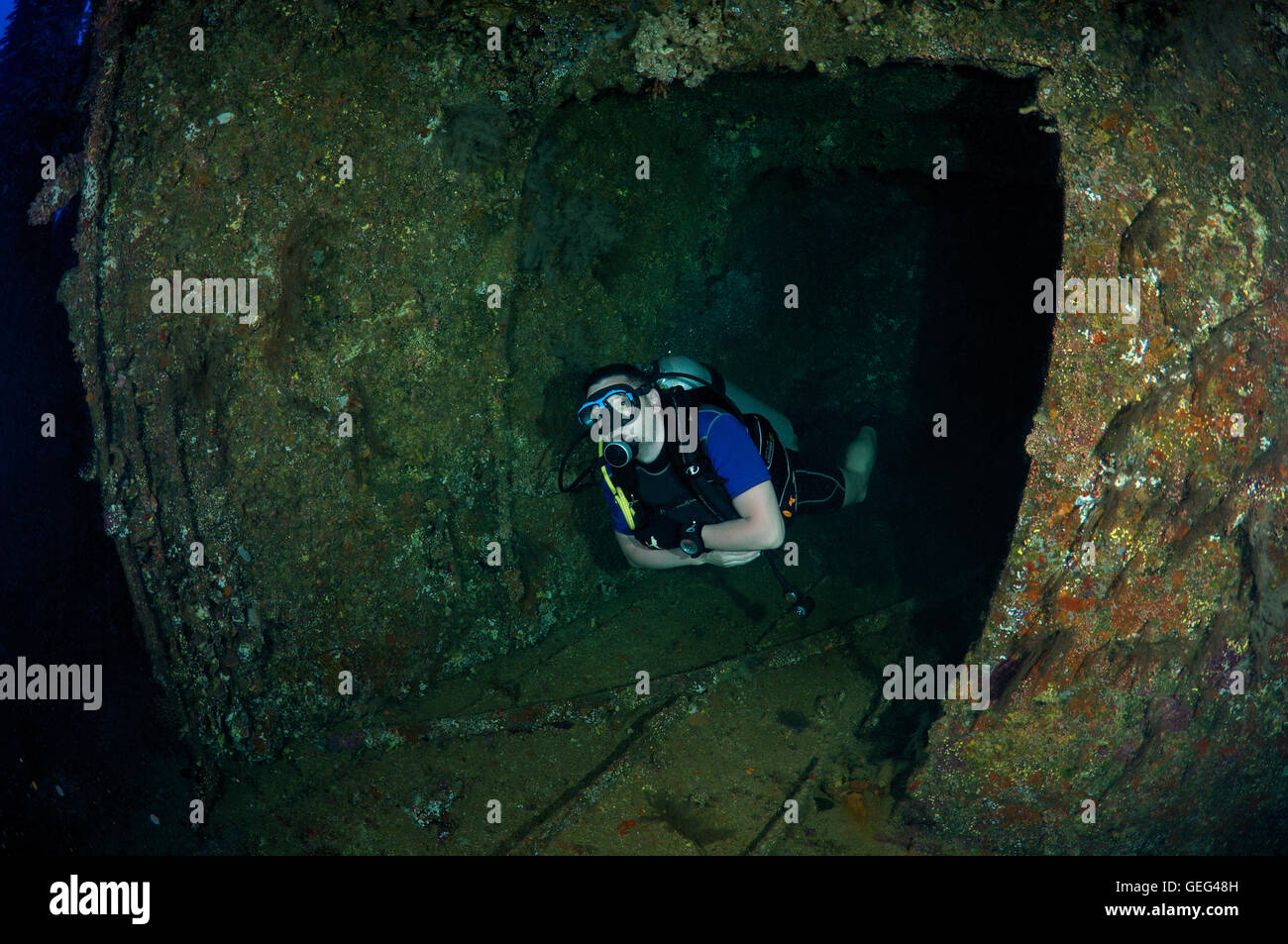 Male scuba diver inside the wreck of the Numidia, Big Brother reef ...