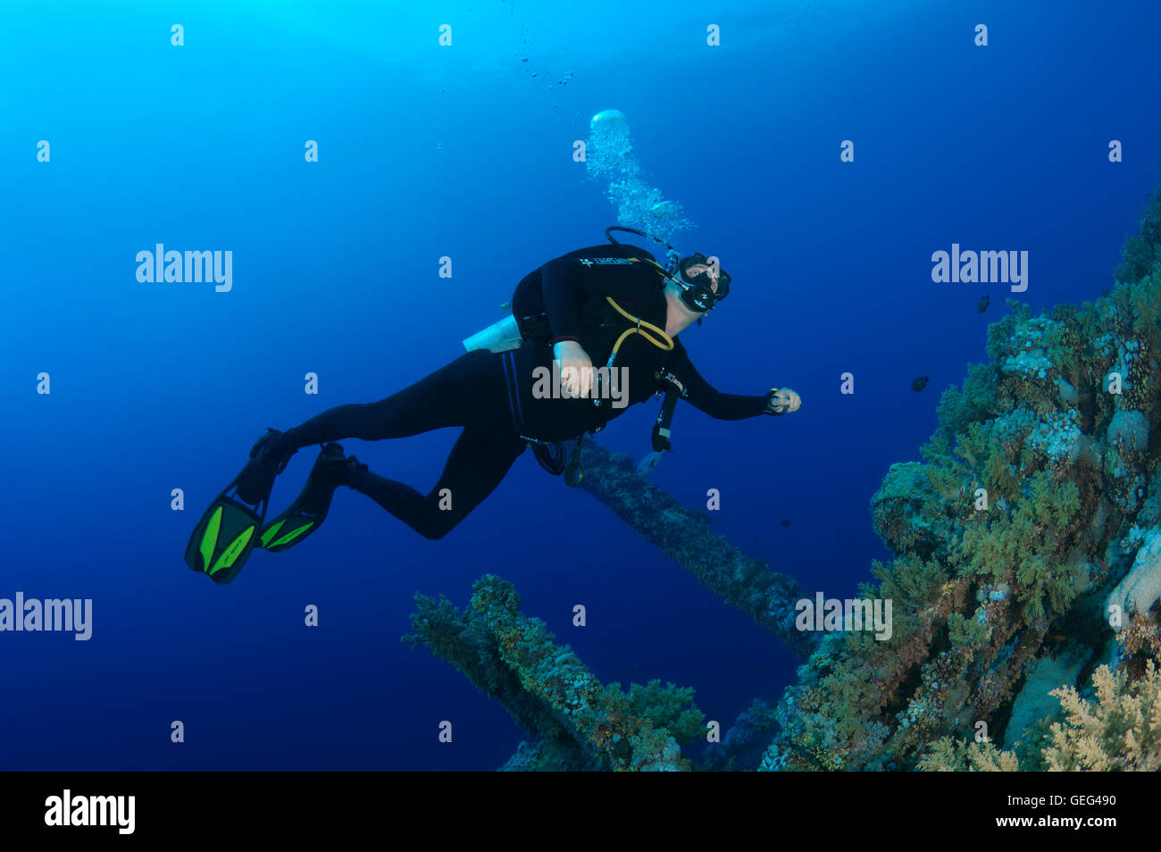 Male scuba diver at the wreck of the Numidia, Big Brother reef ...