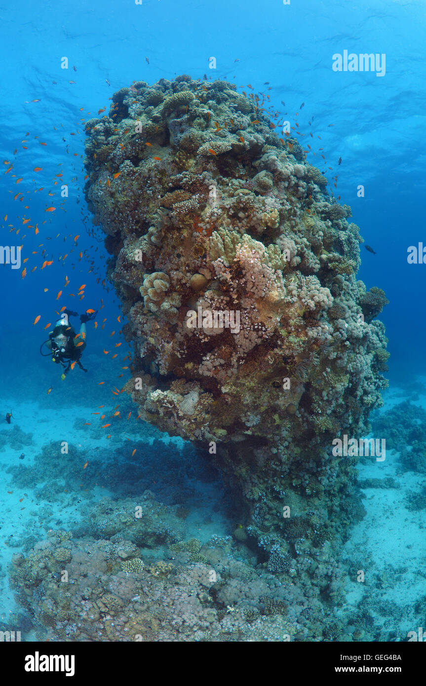 Underwater pillars hi-res stock photography and images - Alamy