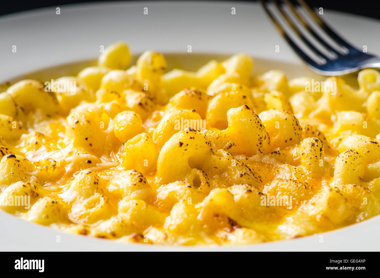 Macaroni and Cheese White Plate Southern classic comfort food Stock ...