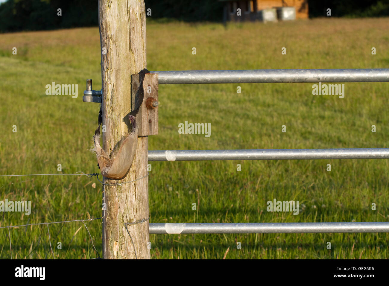 Wooden gate post and metal gate to a grass meadow Stock Photo - Alamy