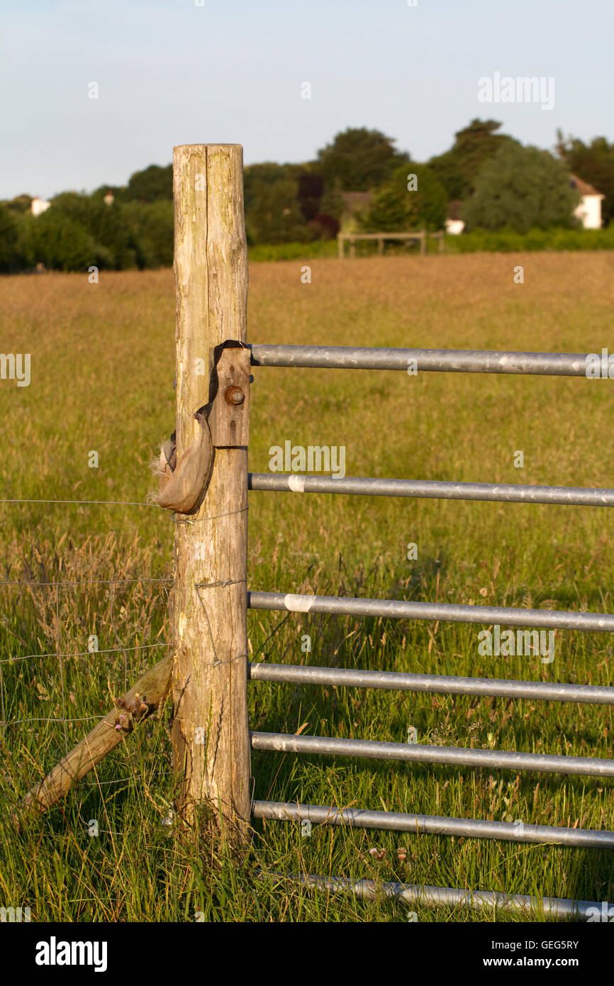 Wooden gate post metal gate hi-res stock photography and images - Alamy