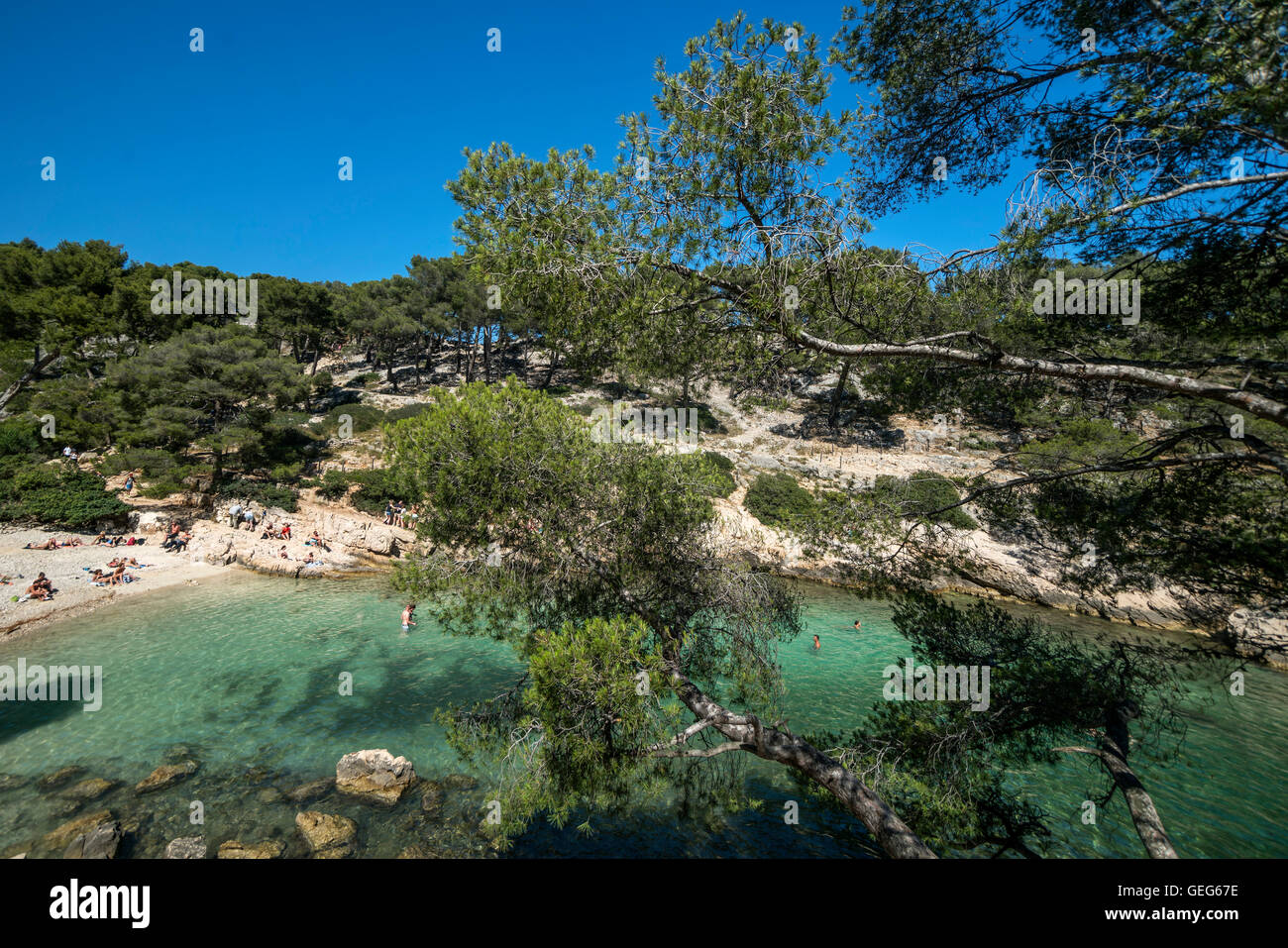 Port Pin beach, Calanques, Cassis, Provence, France Stock Photo - Alamy