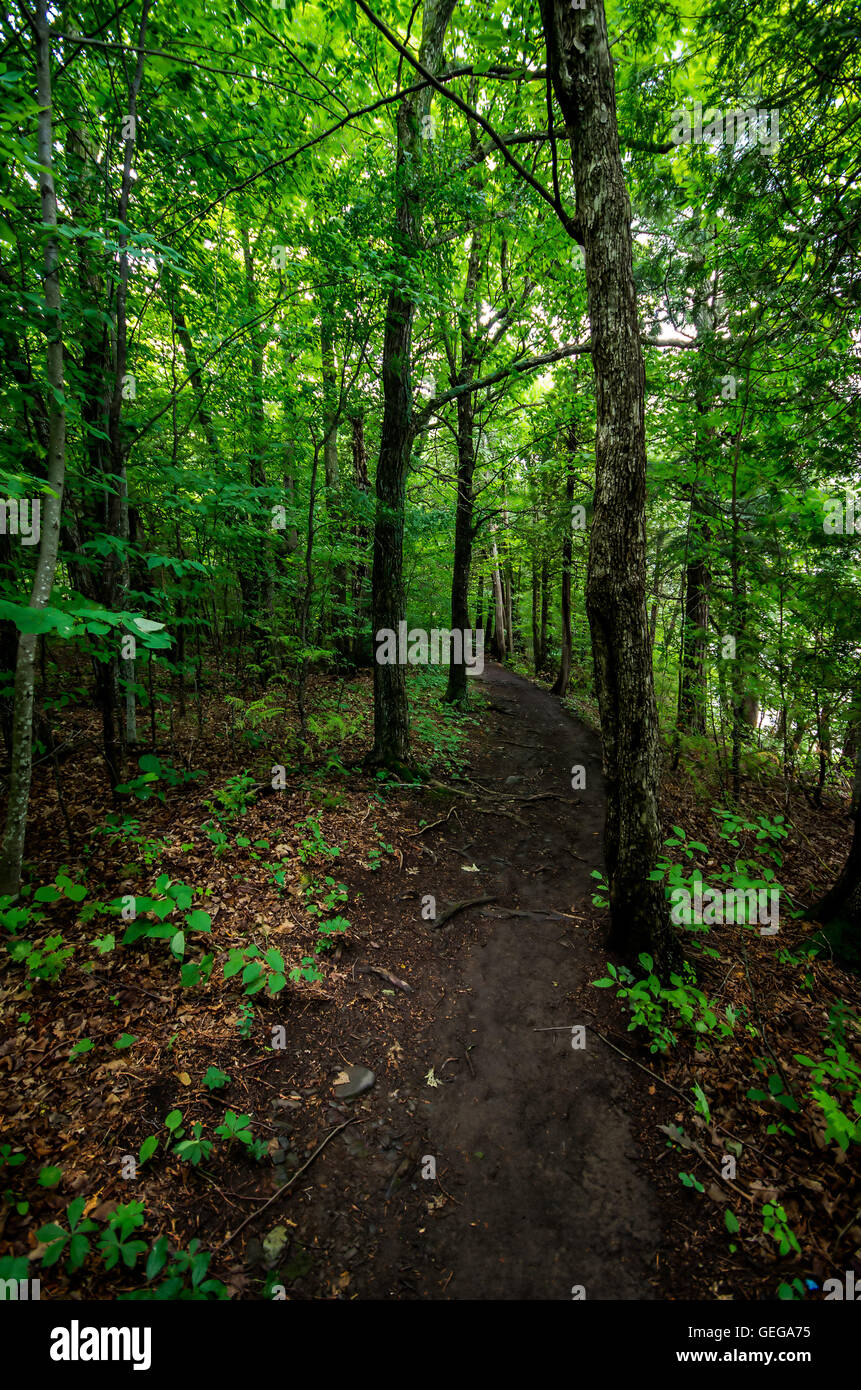 Point Au Roche State Park views from the trails Stock Photo - Alamy