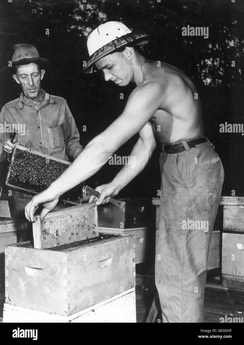 Wallace anderson hi-res stock photography and images - Alamy