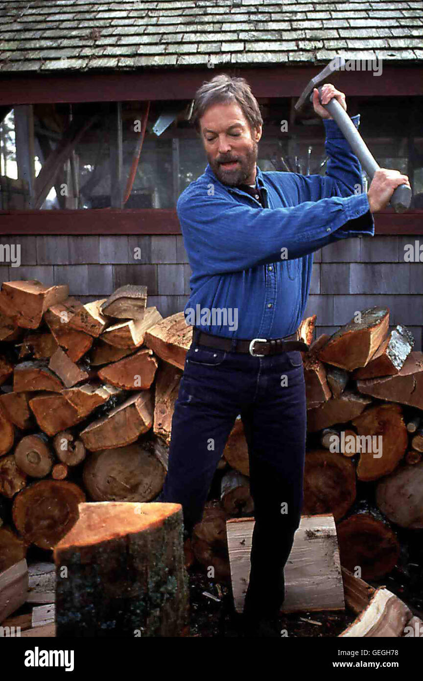 Richard Chamberlain Federal Agent Dane (Richard Chamberlain) *** Local ...