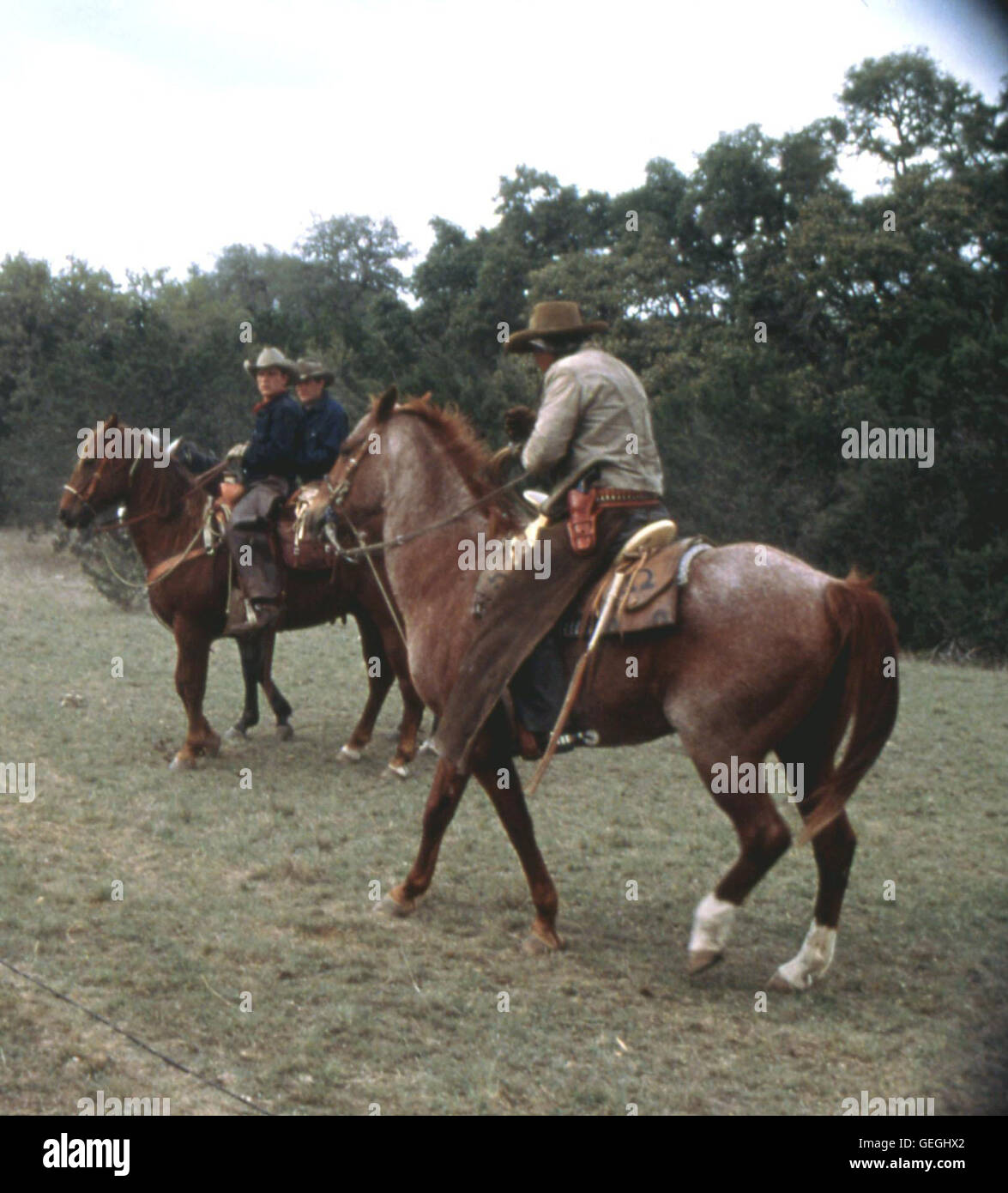John Crady Cole (Matt Damon), Lacey Rawlins (Henry Thomas), Blevins ...