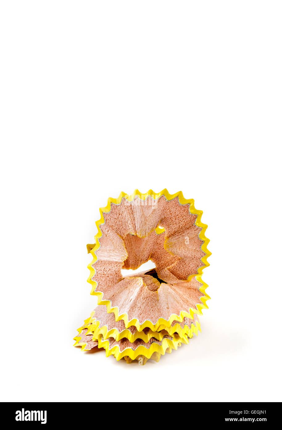 Vertical closeup tree white Cut Out Stock Images & Pictures - Alamy