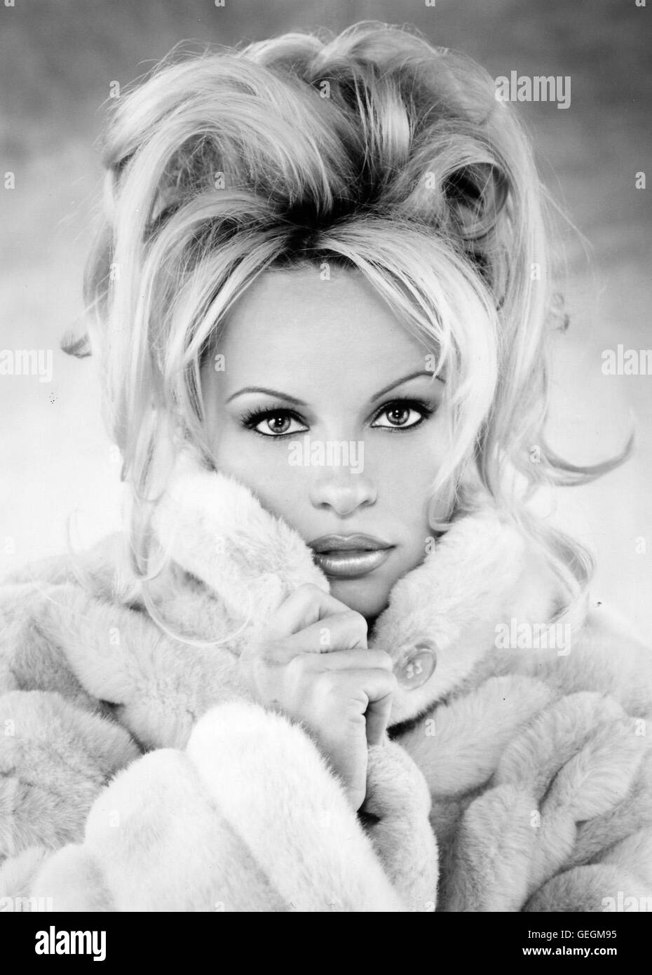 Pamela Vinton's Instagram, Twitter & Facebook on IDCrawl