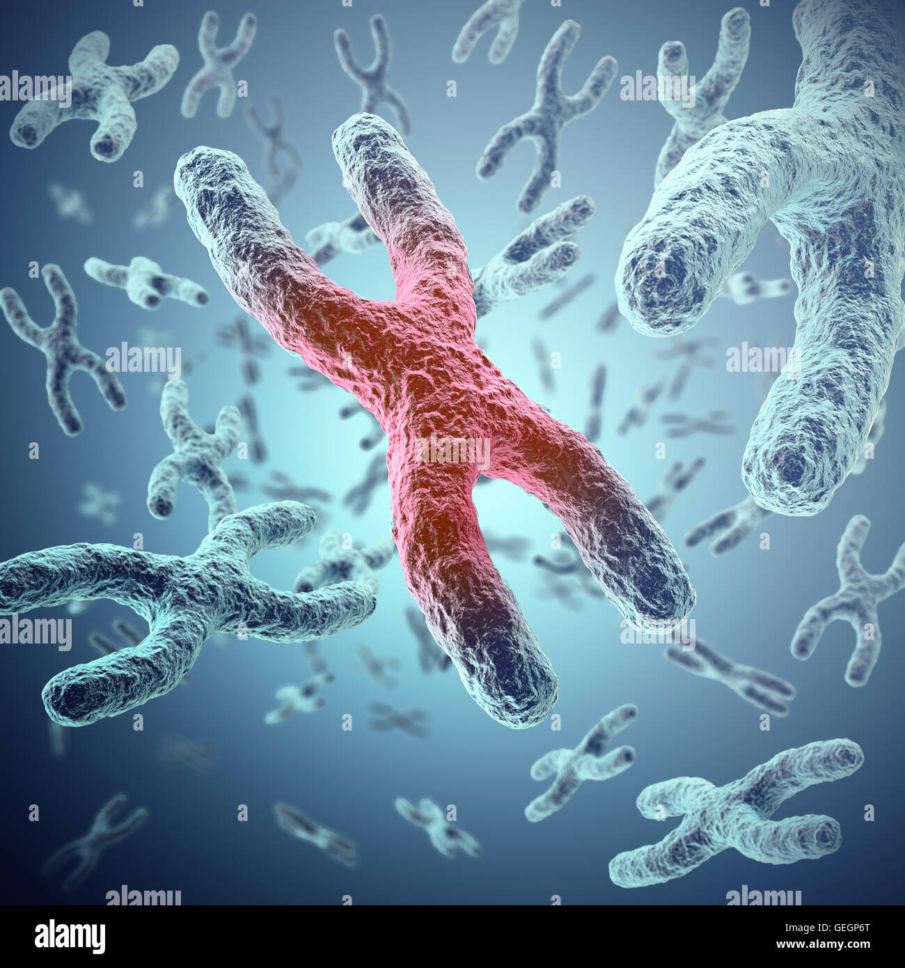 X chromosome, red in the center, the concept of infection, mutation ...