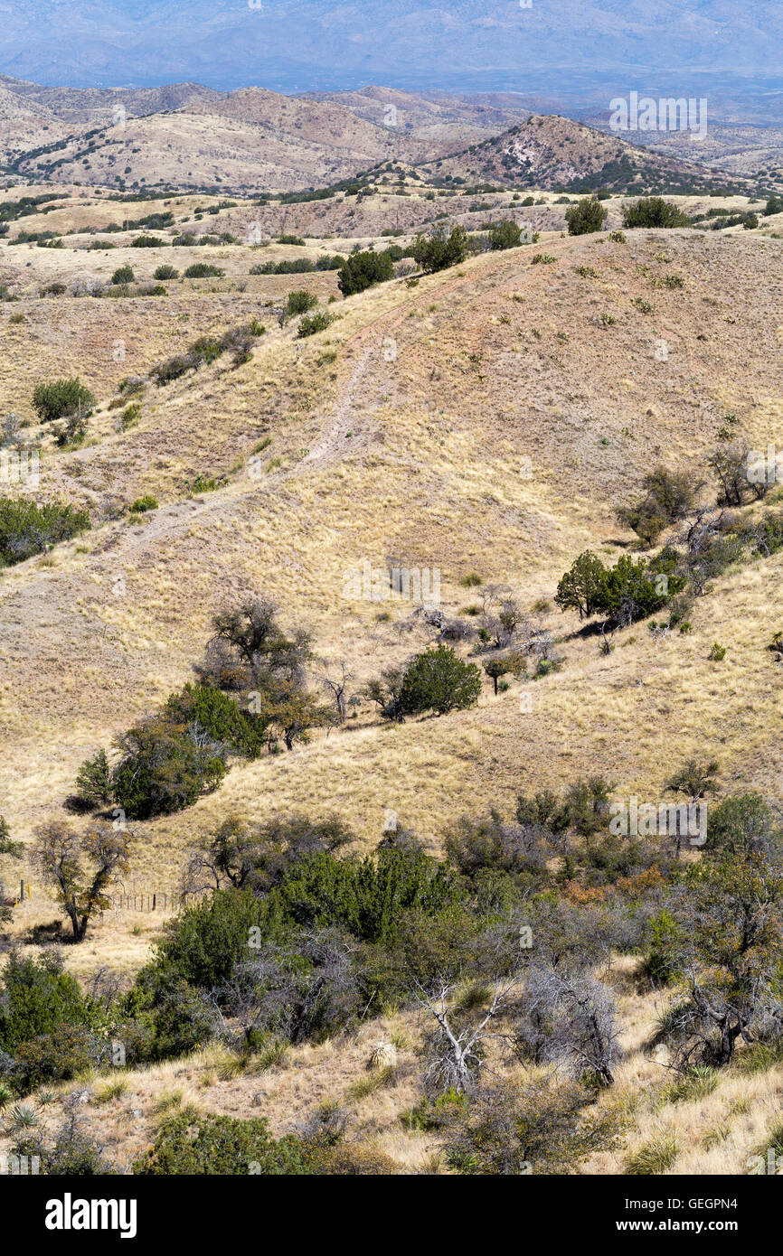 The high desert grasslands of the northern Santa Rita Mountain ...