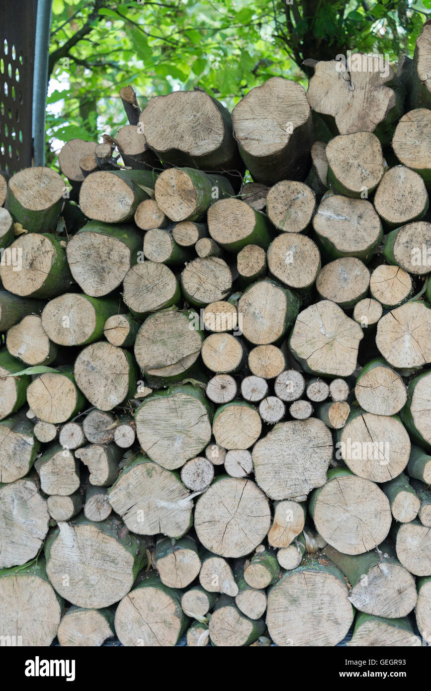 background stack of pile wood in the forest Stock Photo - Alamy