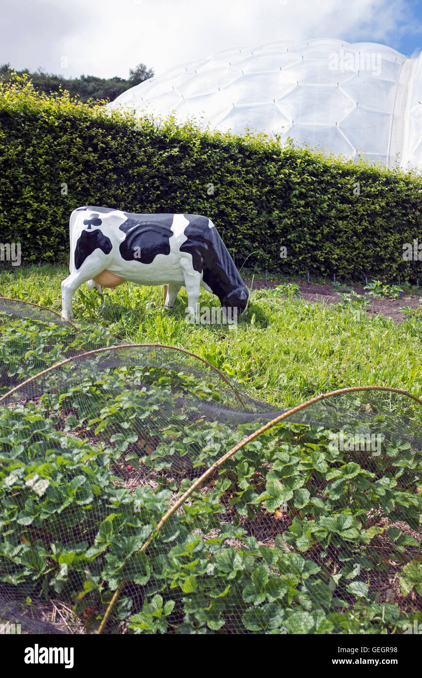 Fake cow hi-res stock photography and images - Alamy