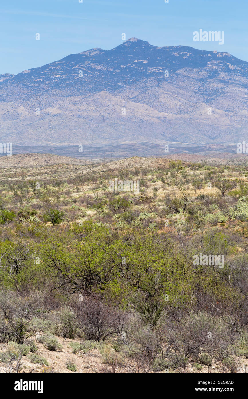 Rincon Mountains