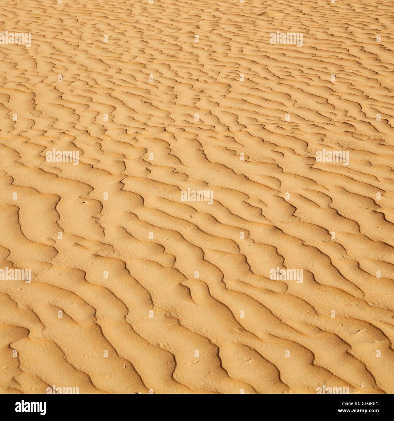 abstract texture line wave in oman the old desert and the empty quarter ...