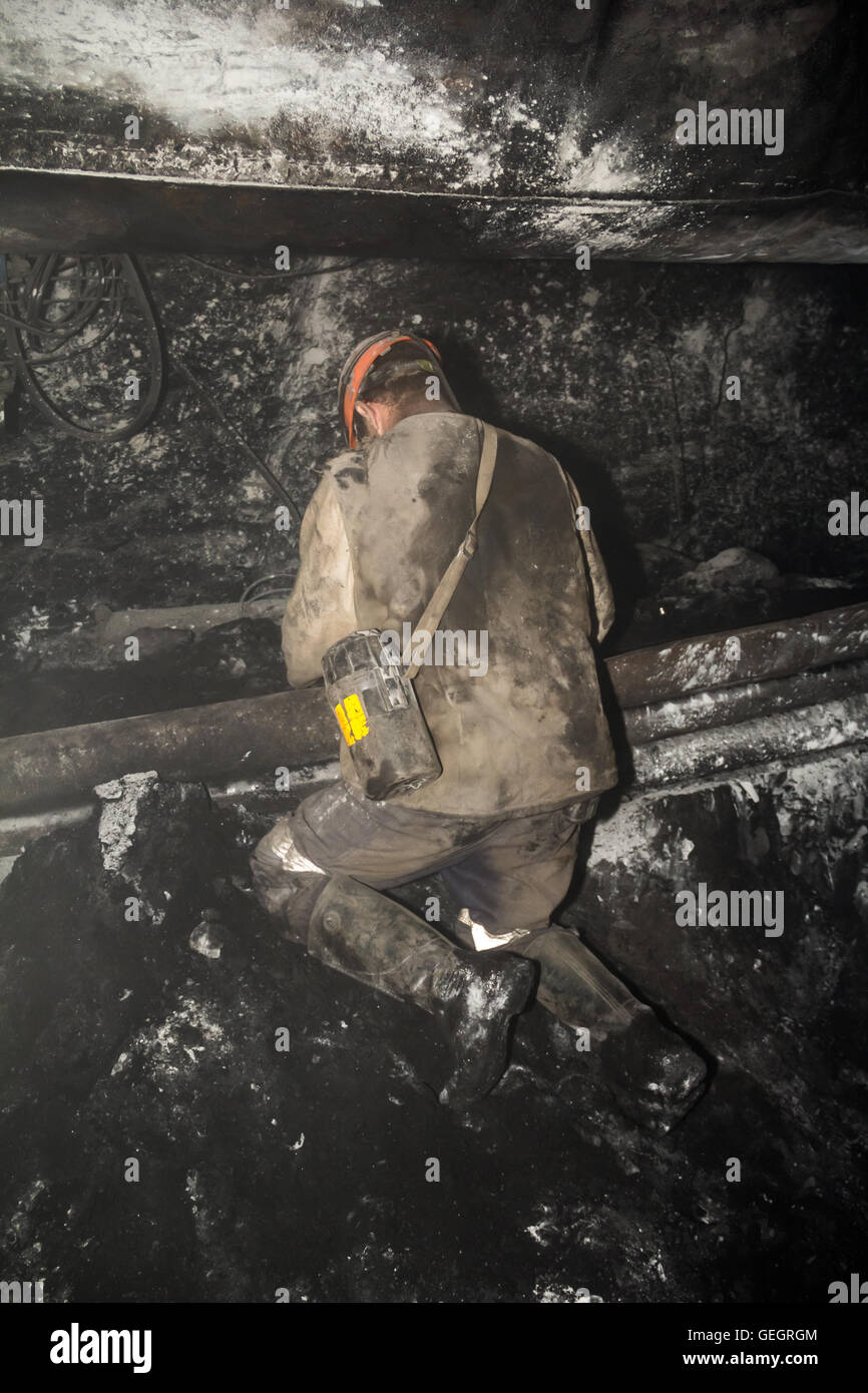 miner in a mine Stock Photo - Alamy